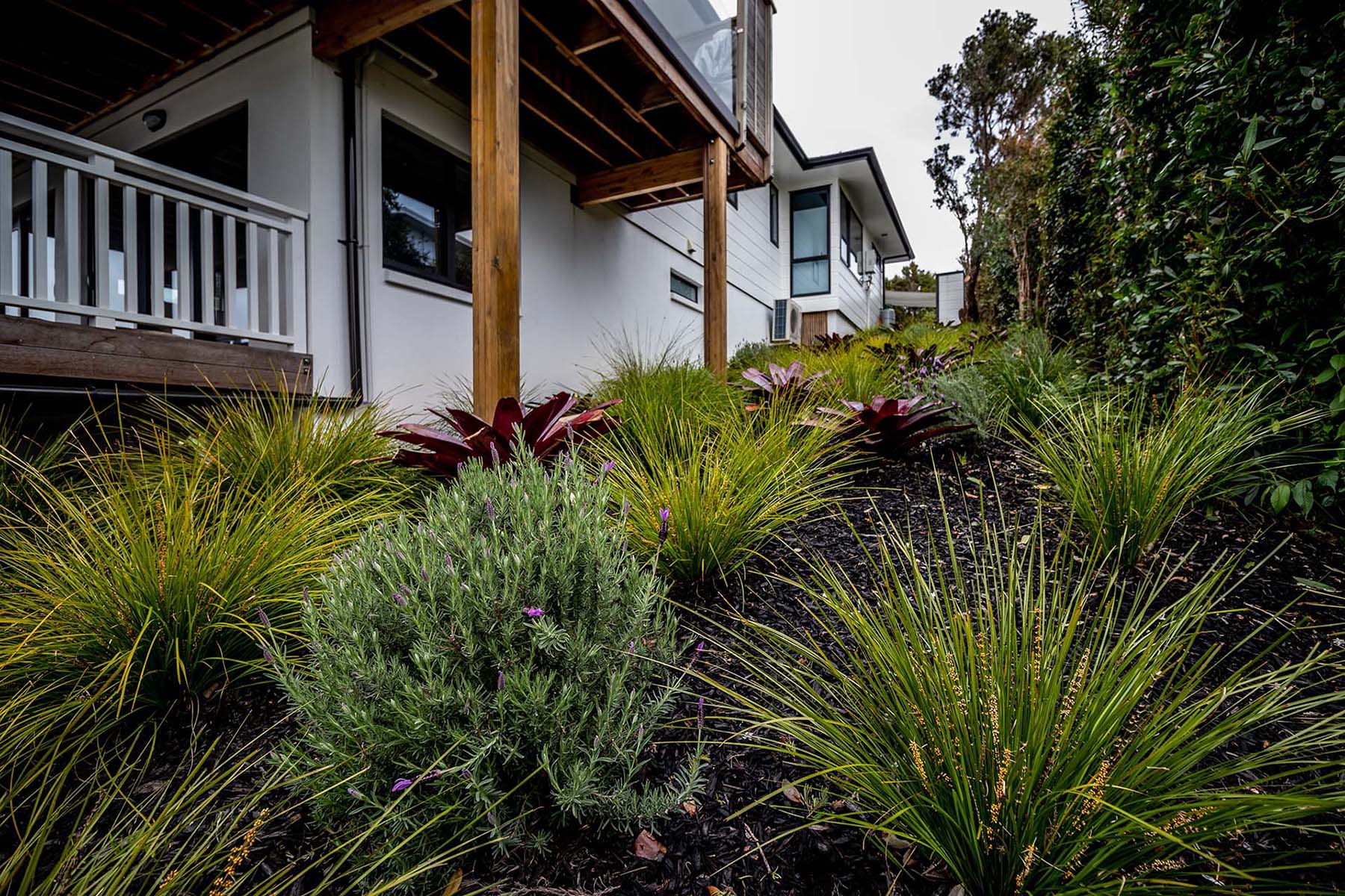 plants-beside-house_Northscape | Northscape